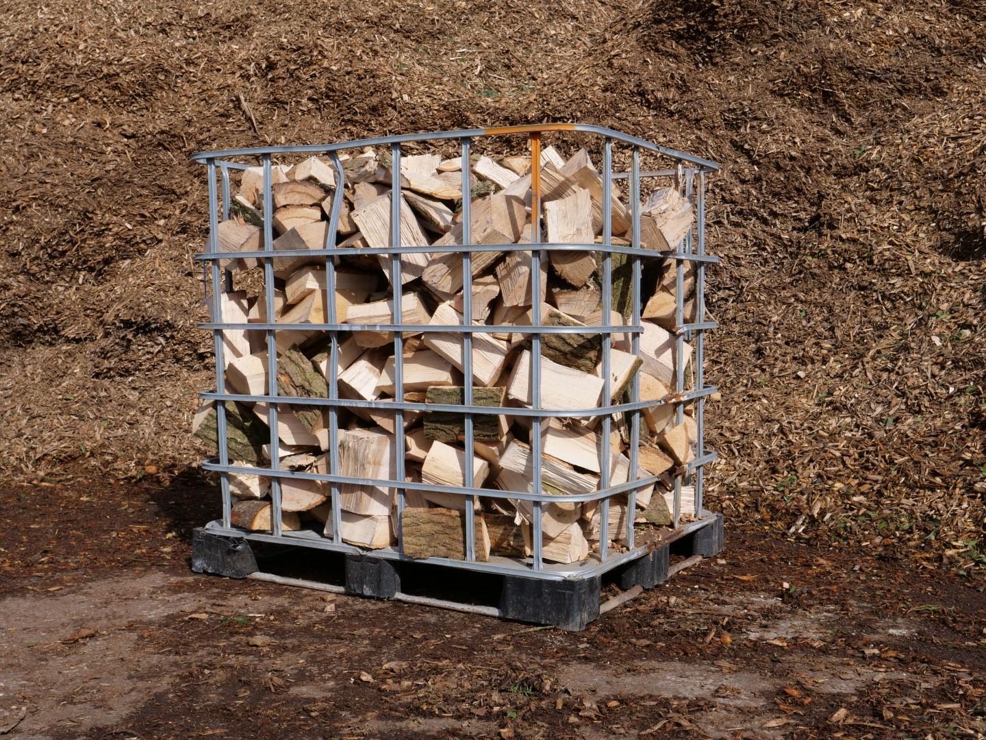 Hardwood Logs – Cubic Meter – Forest