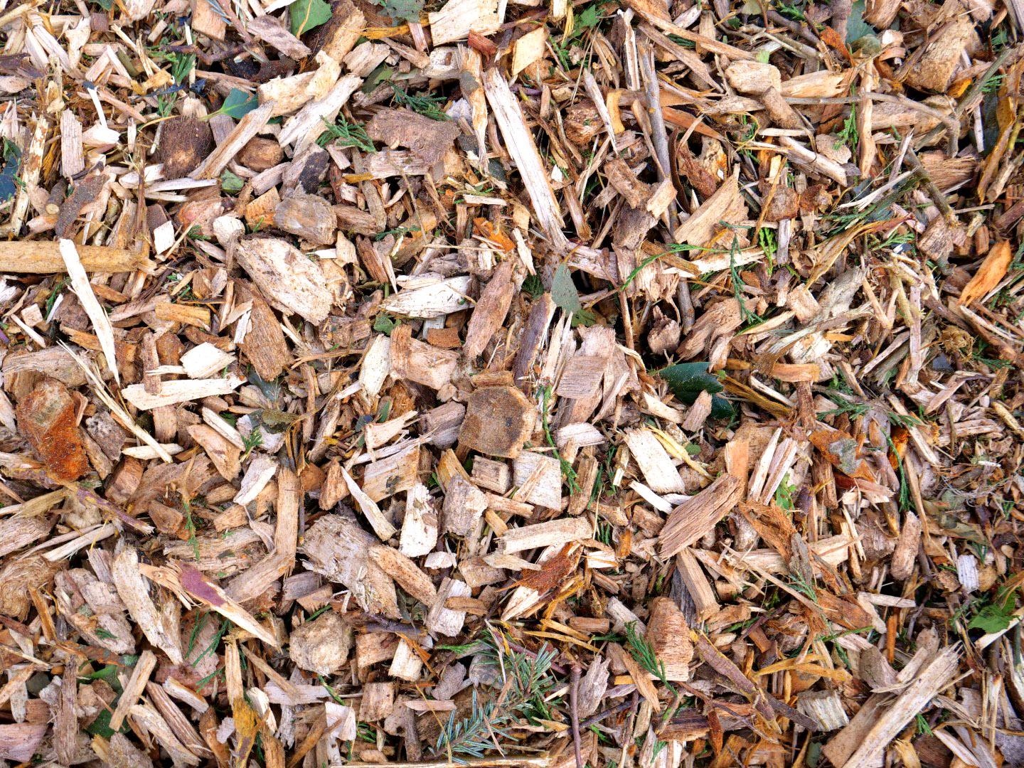 Whole Tree Chip – Cubic Meter – Forest
